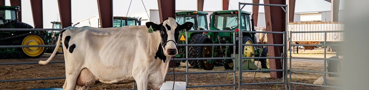 Students and families see dairy farming up… | Threemile Canyon Farms