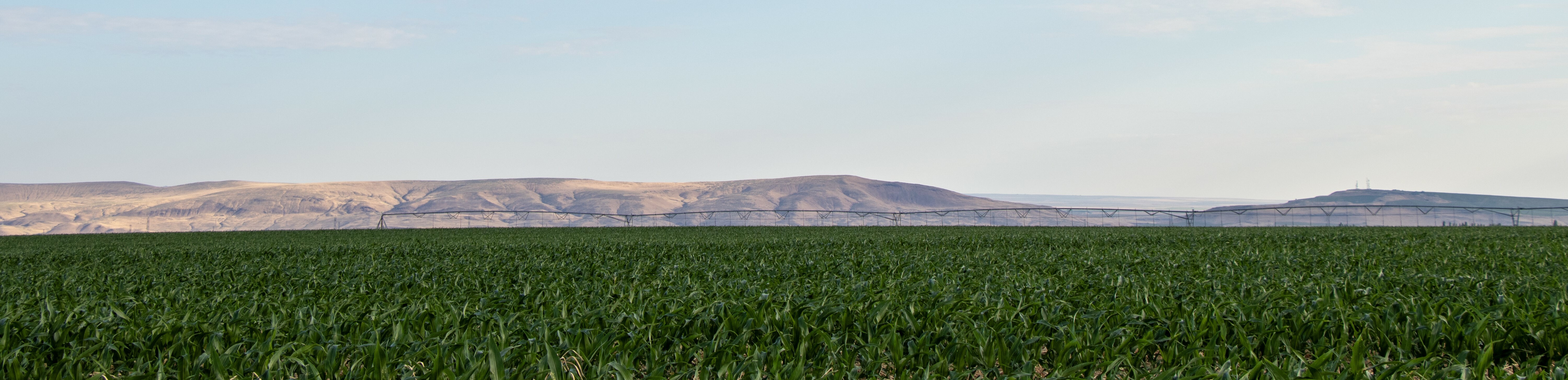 Feeding the World | Threemile Canyon Farms